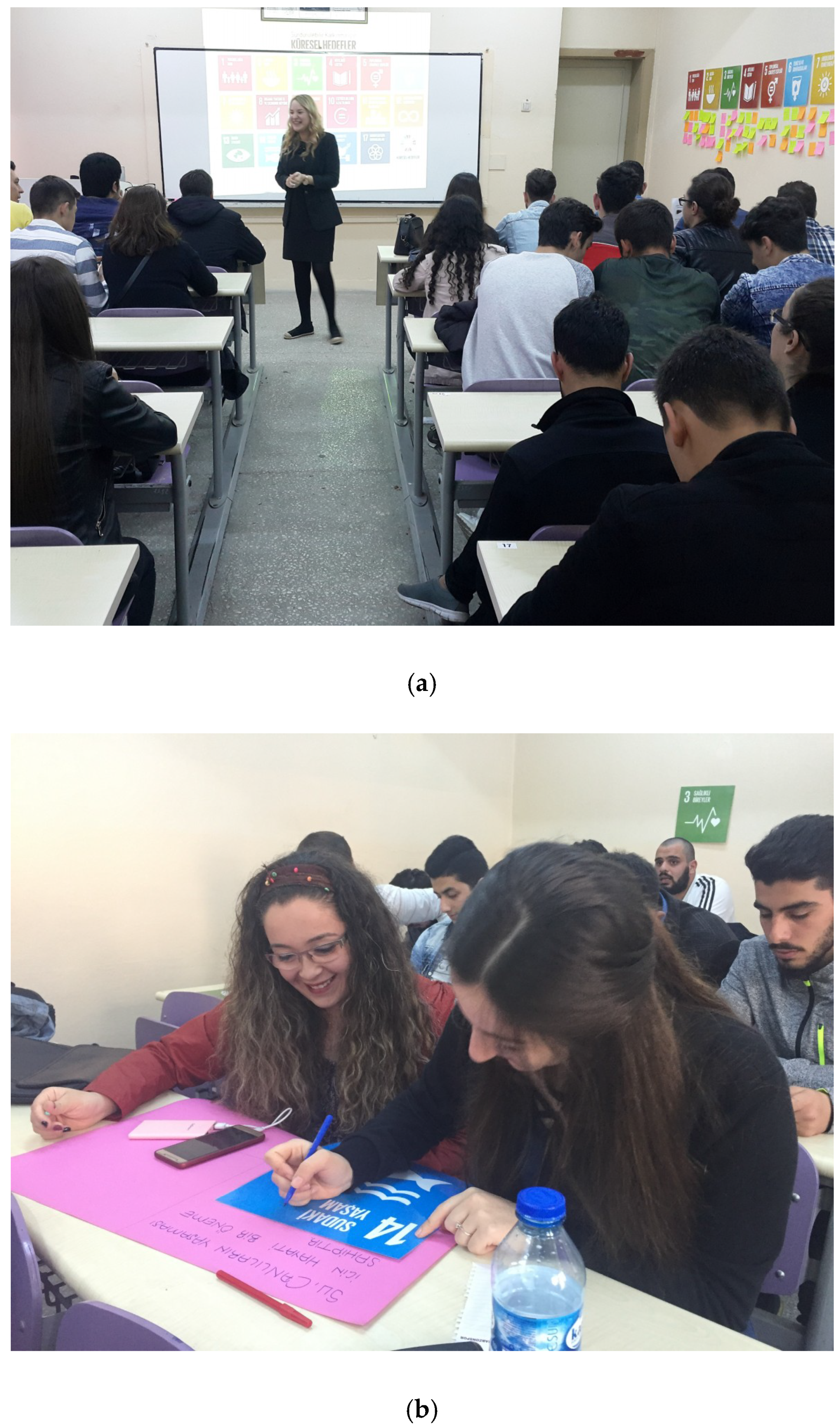 Awareness Training for Sustainable Development: Development ...