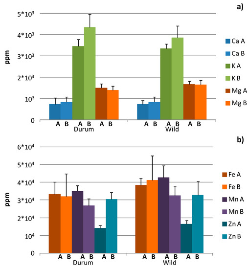 MEGA SAMPLES VOL-104 - groundever