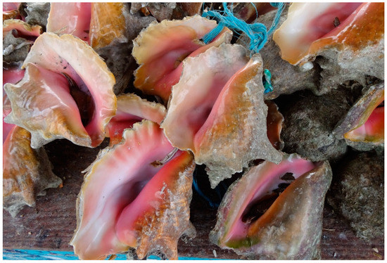 Sustainability | Free Full-Text | When Culture Materializes: Societal ...