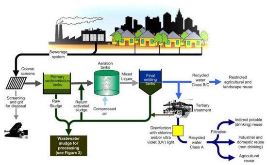 Sustainability | Free Full-Text | Future Options for Sewage and ...