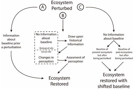 Shifting Gears for the Use of the Shifting Baseline Syndrome in ...