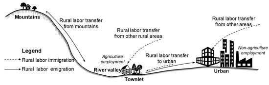 The Features of Rural Labor Transfer and Cultural Differences: Evidence ...