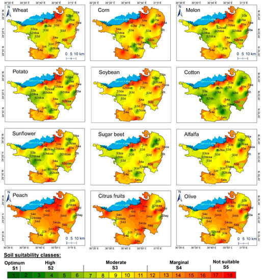 Sustainability | Free Full-Text | Assessment of Soil Suitability for ...