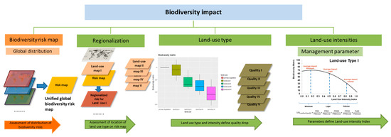 Conceptual Framework for Biodiversity Assessments in Global Value Chains