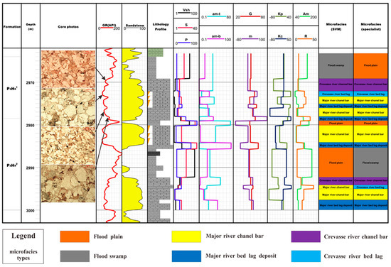 Support Vector Machine Algorithm for Automatically Identifying Depositional Microfacies Using ...