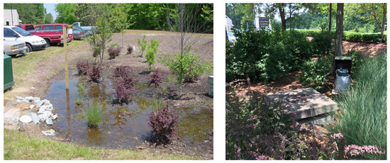 A Retrospective Comparison of Water Quality Treatment in a Bioretention ...