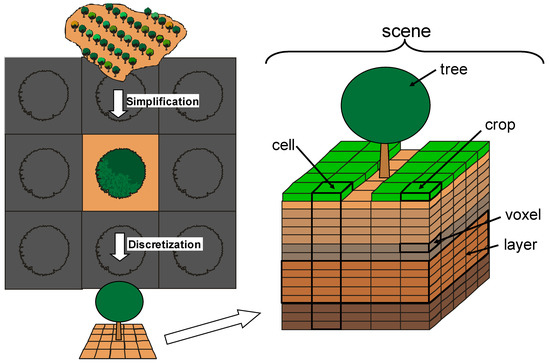 Hi-sAFe: A 3D Agroforestry Model for Integrating Dynamic Tree–Crop ...