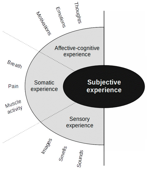 Transforming Consumer Behavior: Introducing Self-Inquiry-Based and Self ...