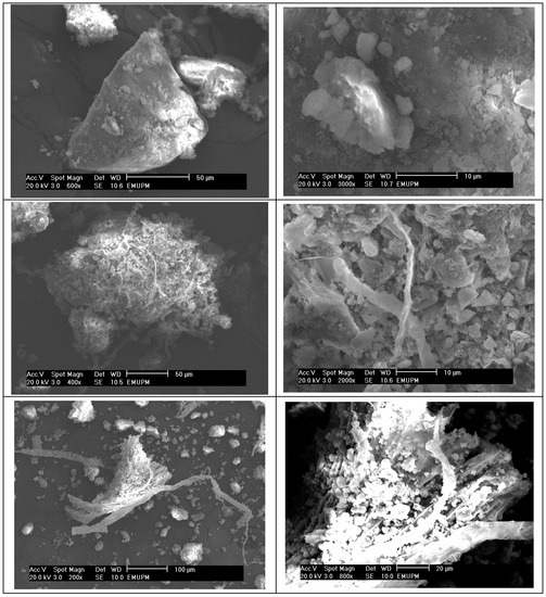 Volcanic Ash, Insecurity for the People but Securing Fertile Soil for ...