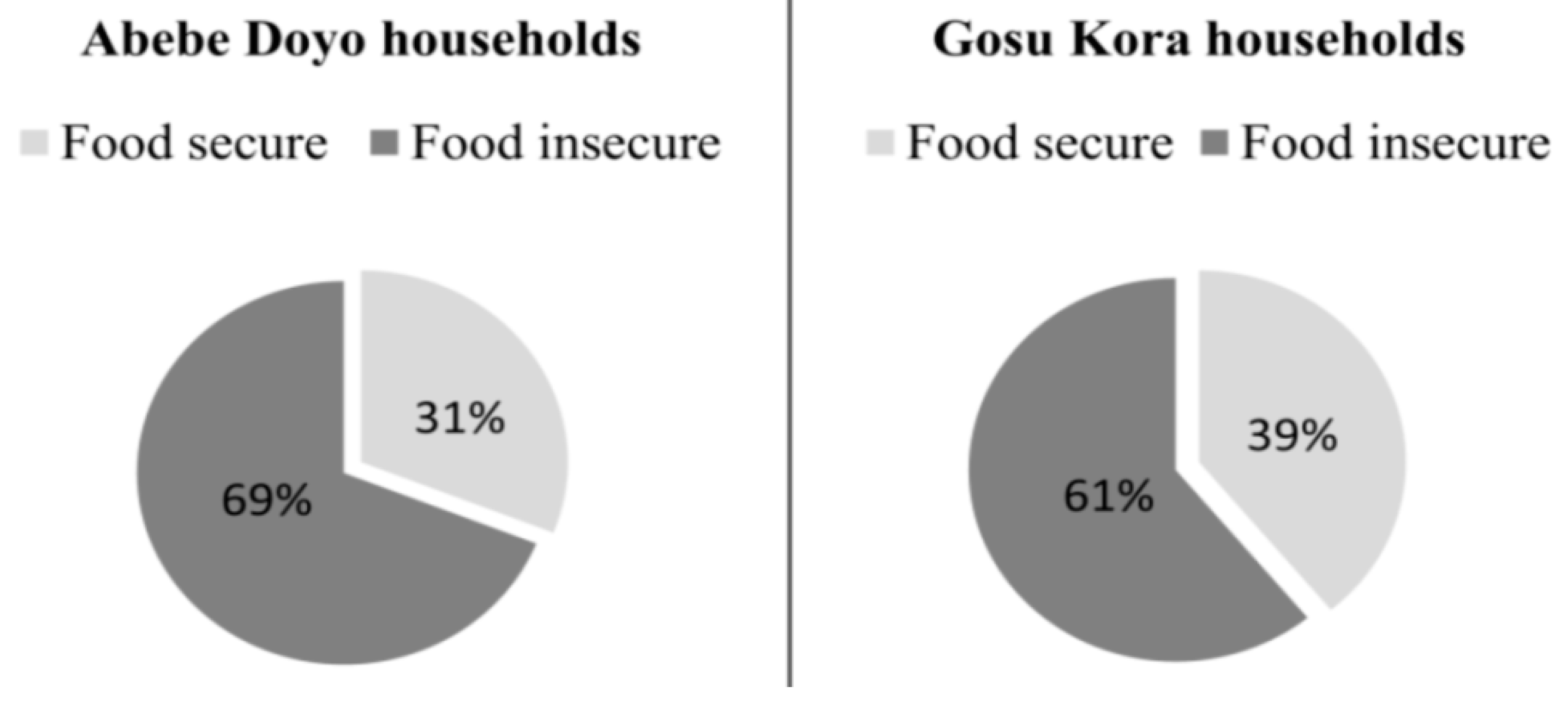 Household Income Diversification and Food Security: Evidence from Rural ...
