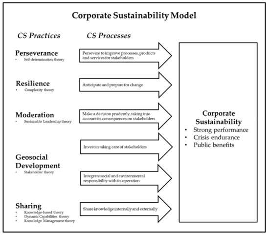 Achieving Corporate Sustainability: Toward a Practical Theory