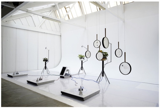 Multispecies Design and Ethnographic Practice: Following Other-Than ...