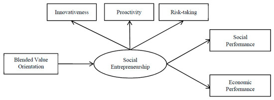 How Social Entrepreneurs’ Value Orientation Affects the Performance of ...