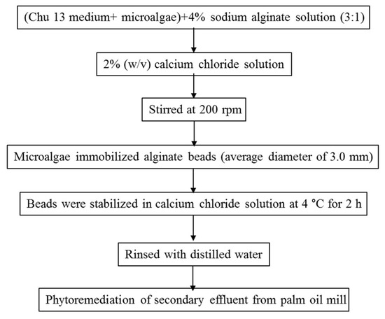 Cultivation of Oily Microalgae for the Production of Third-Generation Biofuels