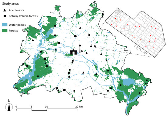 Emerging Urban Forests: Opportunities for Promoting the Wild Side of ...