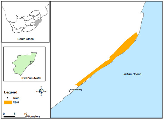 Monitoring Mining Disturbance and Restoration over RBM Site in South ...