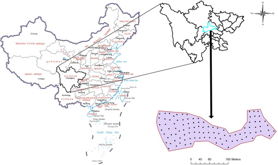 Soil Properties Spatial Variability and Delineation of Site-Specific Management Zones Based on ...