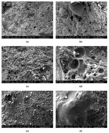 Sewage Sludge Bottom Ash Characteristics and Potential Application in ...