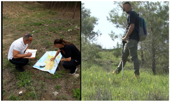 Effectiveness of a School-Based Outdoor Education Curriculum and Online ...