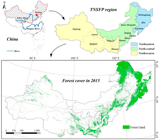 Factors Contributing to Efficient Forest Production in the Region of ...