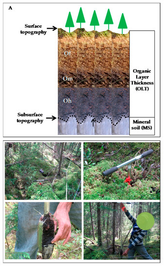 Ranking Importance of Topographical Surface and Subsurface Parameters ...