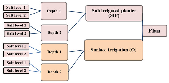 Growth, Yield, and Water Productivity Responses of Pepper to Sub ...