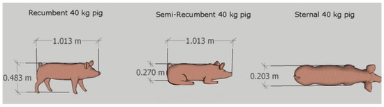 Sustainability | Special Issue : Sustainable Pig Production