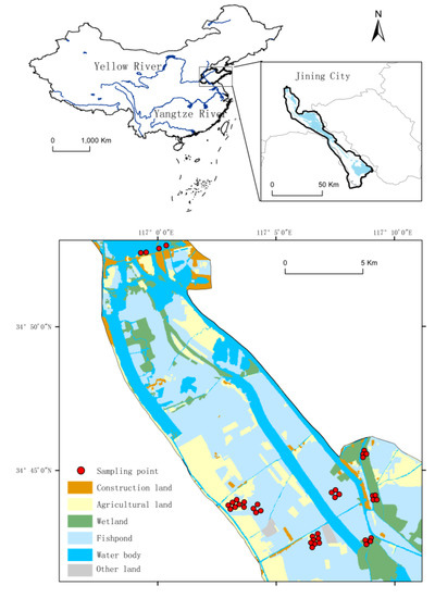 Effects of Contemporary Land Use Types and Conversions from Wetland to ...