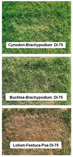 Sustainability | Free Full-Text | RGB Vegetation Indices, NDVI, and ...
