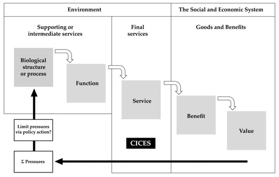 Urban Standards and Ecosystem Services: The Evolution of the Services ...