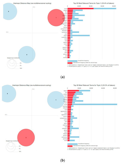 Topic Modeling Analysis of Social Enterprises: Twitter Evidence
