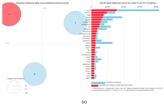 Topic Modeling Analysis of Social Enterprises: Twitter Evidence
