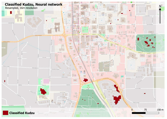 Employing Machine Learning for Detection of Invasive Species using ...