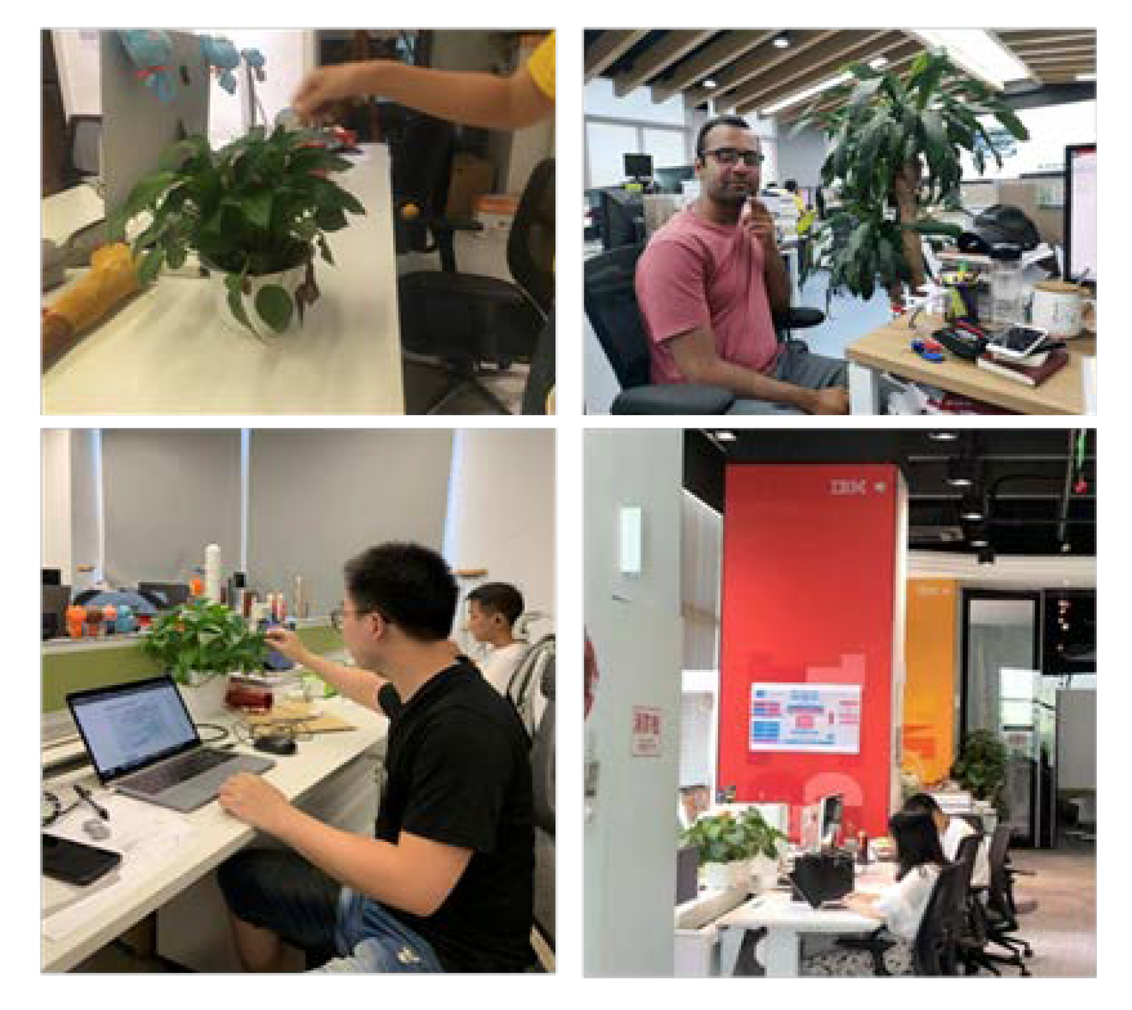 An IoT-based Sharing Plant Factory System for Nature Connectedness ...