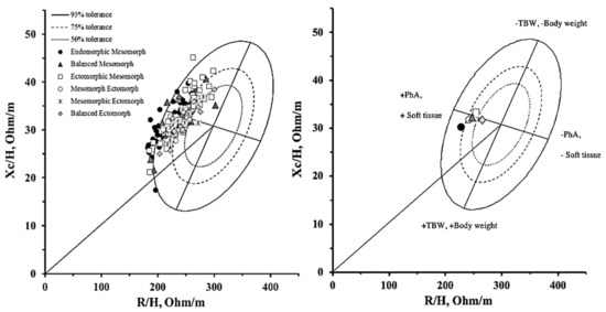 Somatotype and Bioimpedance Vector Analysis: A New Target Zone for Male ...