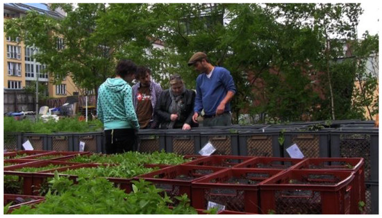 Enabling Relationships with Nature in Cities