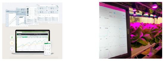 The Role of Smart Technology in Sustainable Agriculture: A Case Study ...