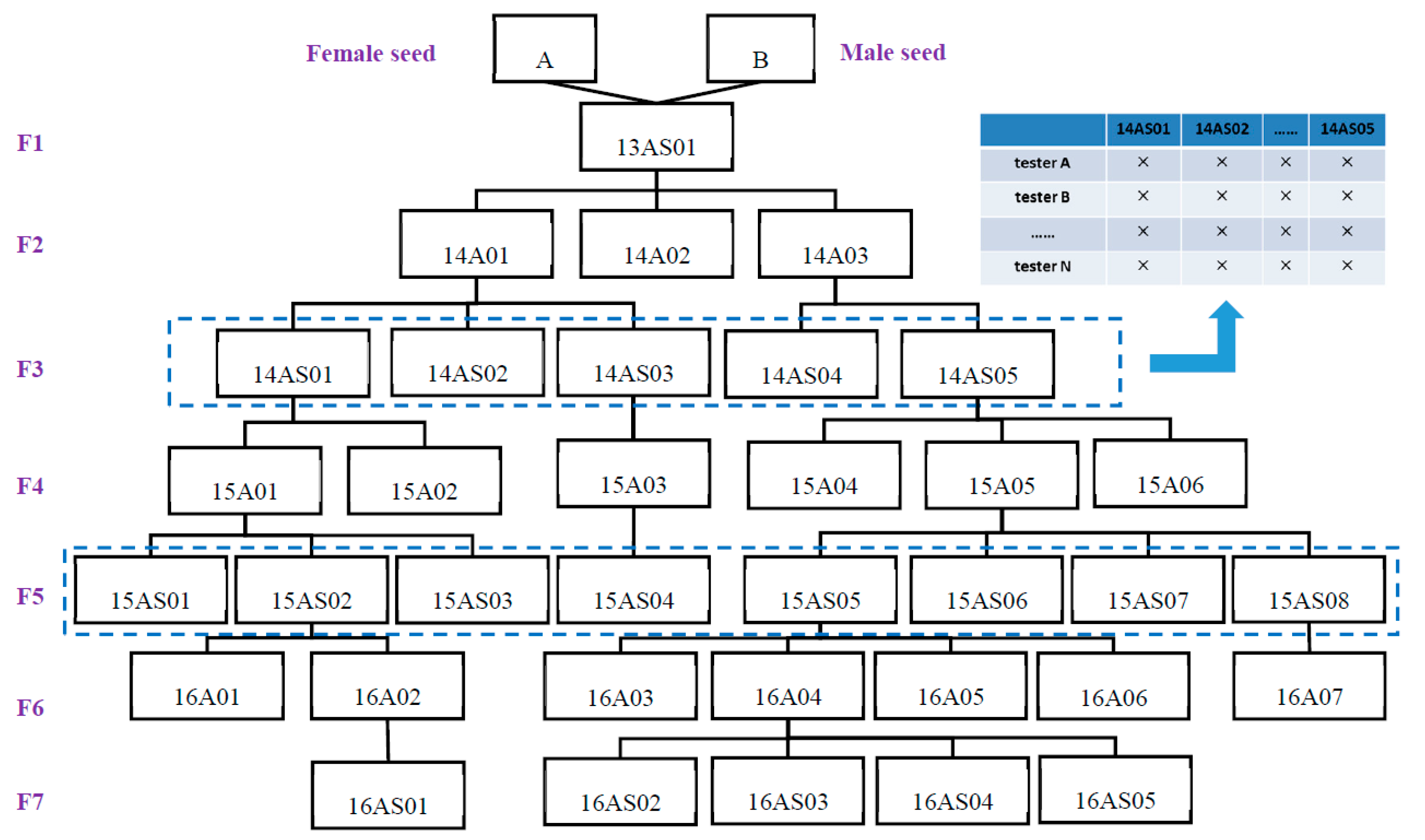 Research on Hybrid Crop Breeding Information Management System Based on ...