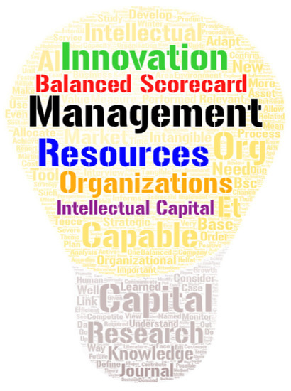 The Influence of Innovation in Tangible and Intangible Resource ...