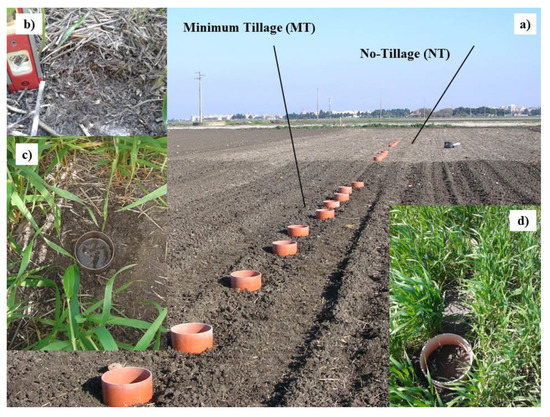 Sustainability | Free Full-Text | Determining Soil Hydraulic Properties Using Infiltrometer ...
