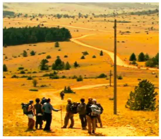 Sustainability | Special Issue : Sustainability of Rural Tourism and ...