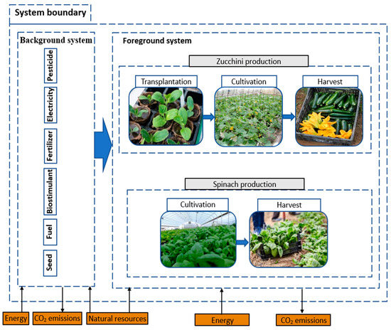 Biostimulants as a Tool for Improving Environmental Sustainability of ...