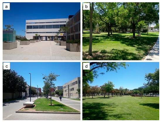 Sustainability | Free Full-Text | Towards a Greener University ...