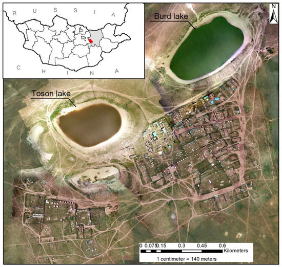 Impacts of Rapid Changes of Land Cover and Intensive Human Activities ...