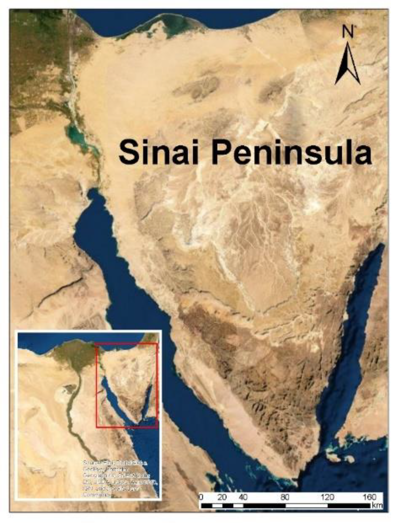 Climatology and Dynamical Evolution of Extreme Rainfall Events in the ...