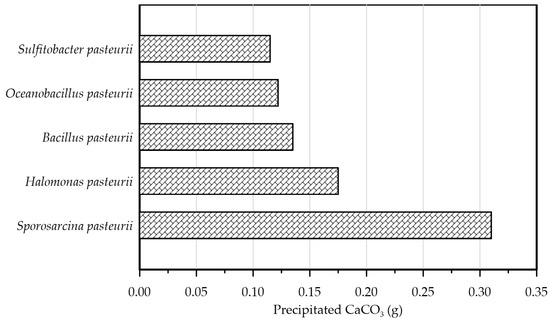 State-of-the-Art Review of Microbial-Induced Calcite Precipitation and ...