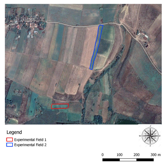 Environmental and Economic Assessment of Castor Oil Supply Chain: A ...