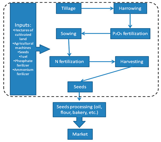 Hemp Seed Production: Environmental Impacts of Cannabis sativa L ...