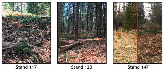 Prediction of Fuel Loading Following Mastication Treatments in Forest ...