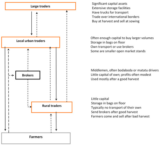 Informal Seed Traders: The Backbone of Seed Business and African ...